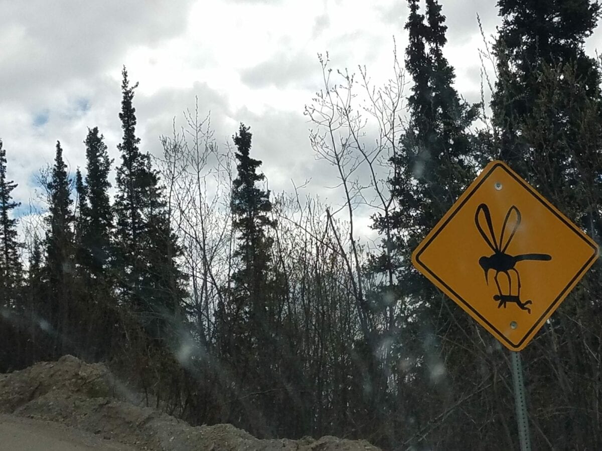 12 Unusual Alaska Sights Showing Quirky Alaskan Humor